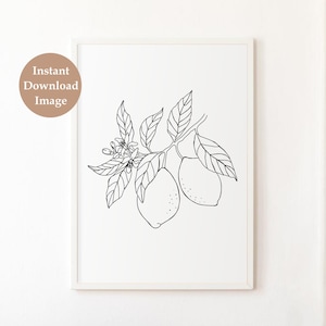 Lemon Line Art | DIGITAL DOWNLOAD | Lemon Line Drawing | Minimalist ...