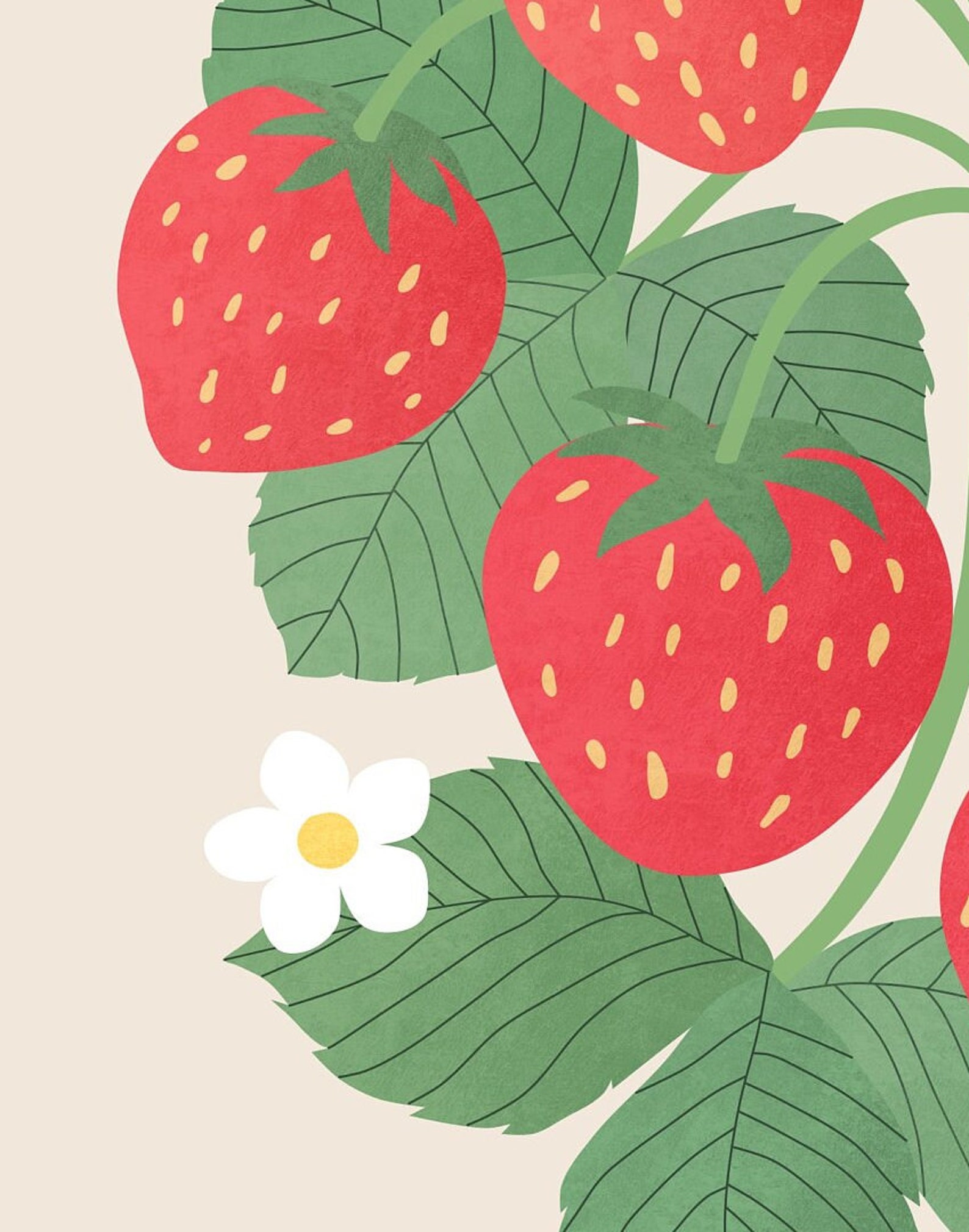Strawberry Print, Strawberries Fruit Market Print, DIGITAL DOWNLOAD ...
