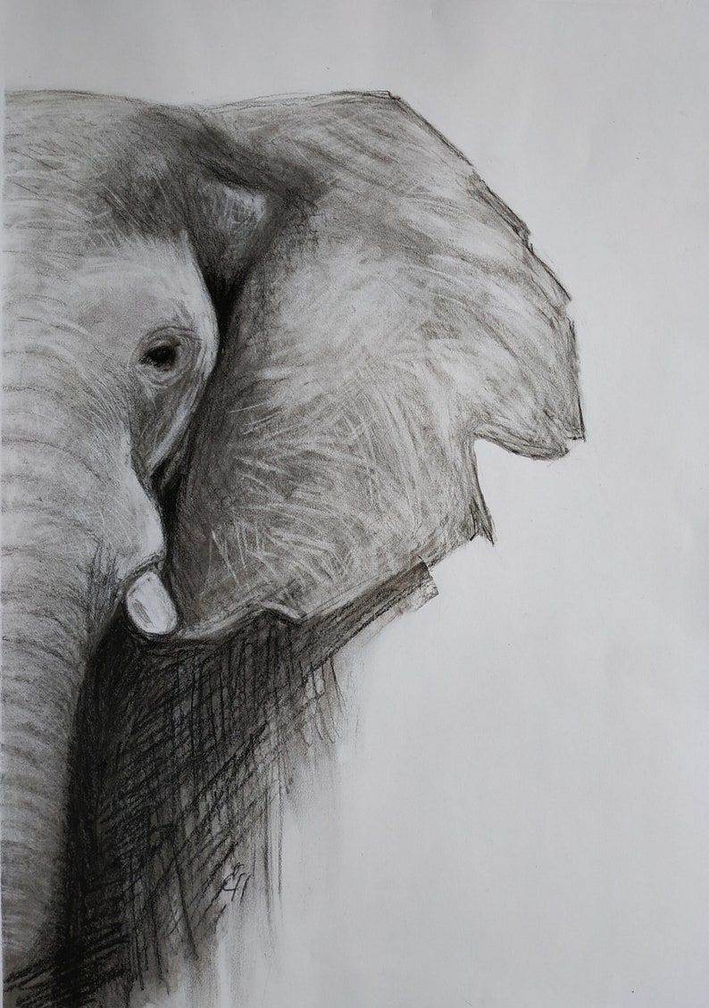 Elephant Charcoal Drawing Original Animal Portrait Minimalist - Etsy
