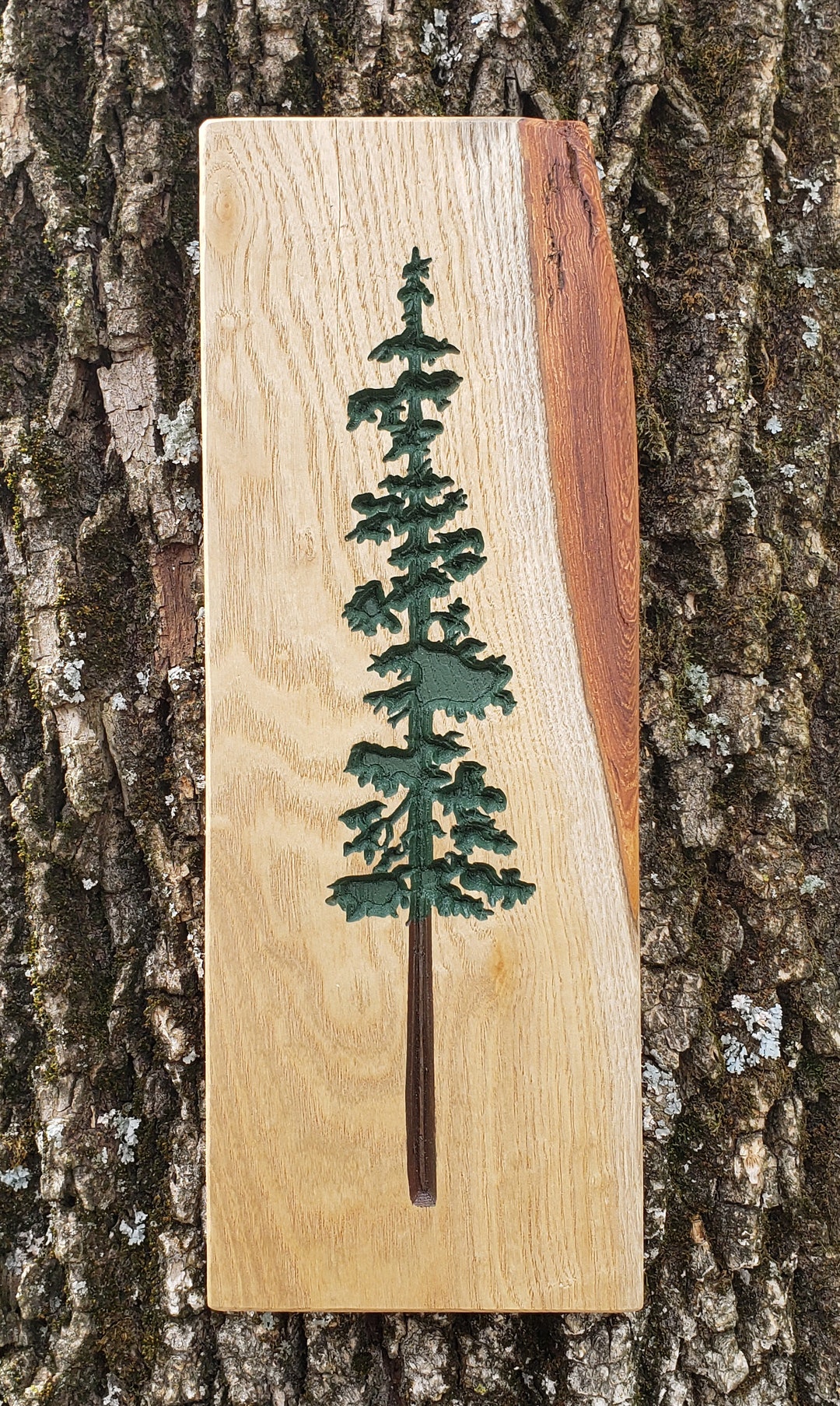 Live Edge Wood Tree Carving - One of a Kind - Etsy