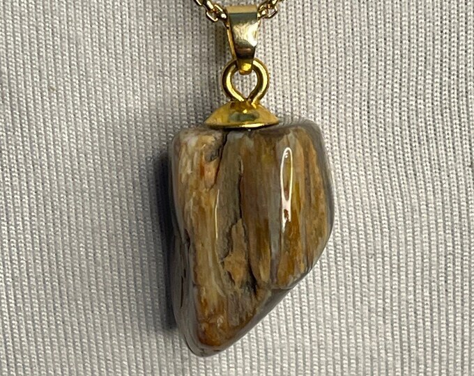 All Natural Petrified Wood Found in the Yellowstone Valley. Polished ...