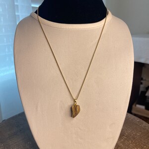 All Natural Petrified Wood Found in the Yellowstone Valley. Polished ...