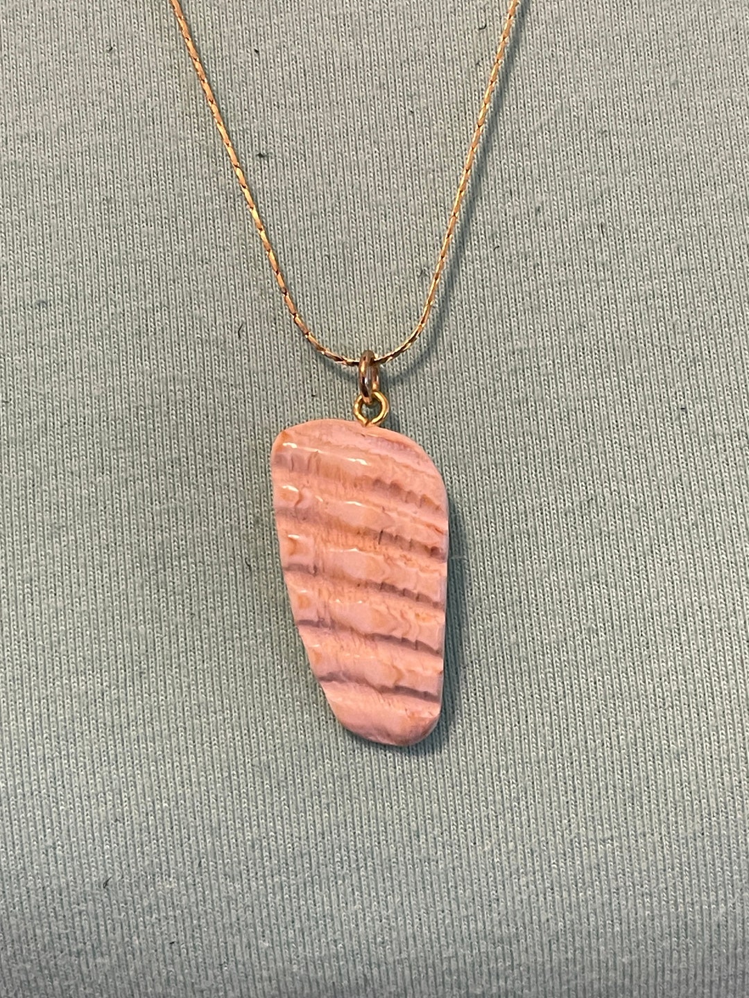 Elegant and Beautiful Seashell, Polished and Set on an 18k 21" Gold ...