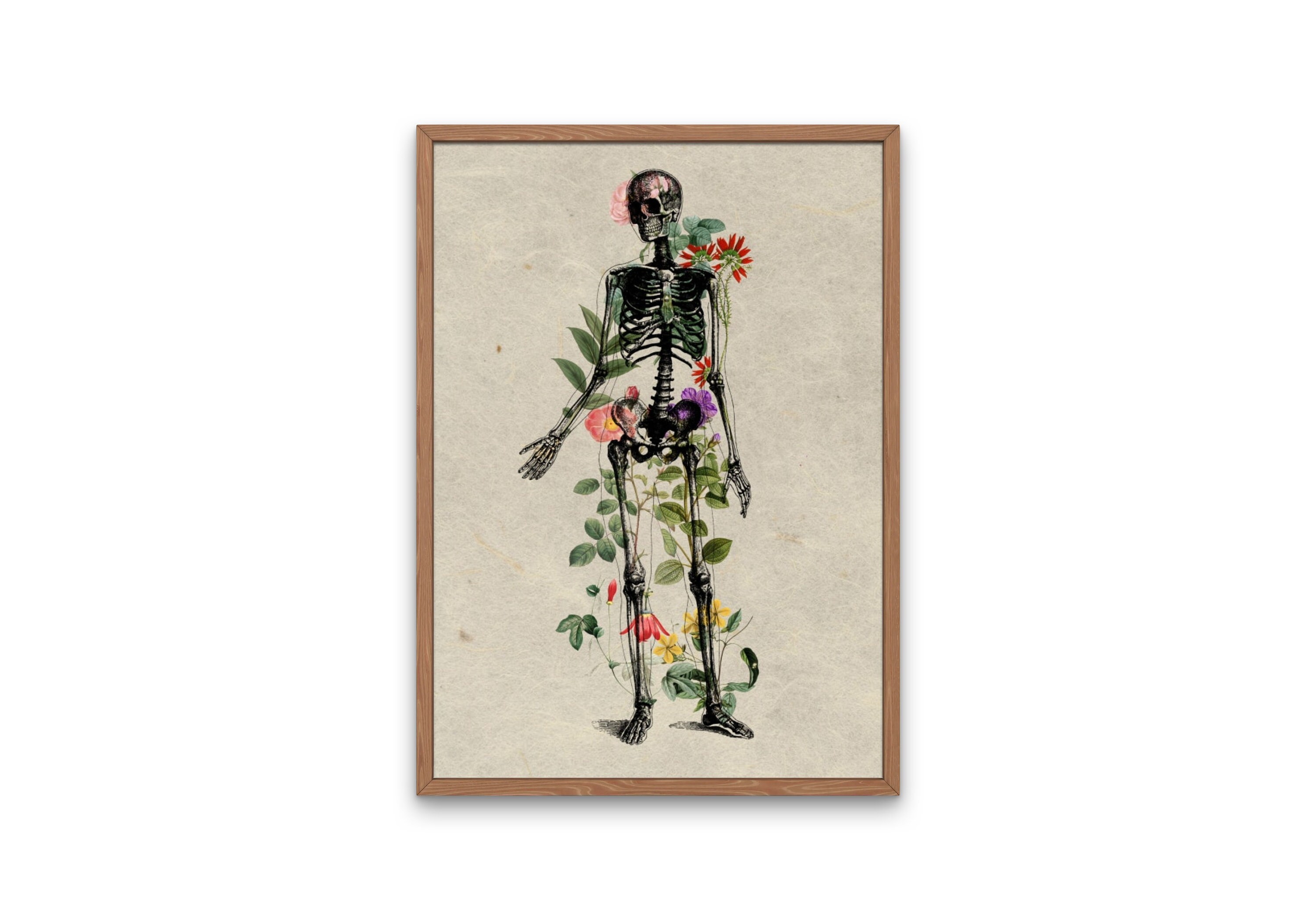 Antique Floral Human Anatomy Print Flowers Through Skeleton - Etsy