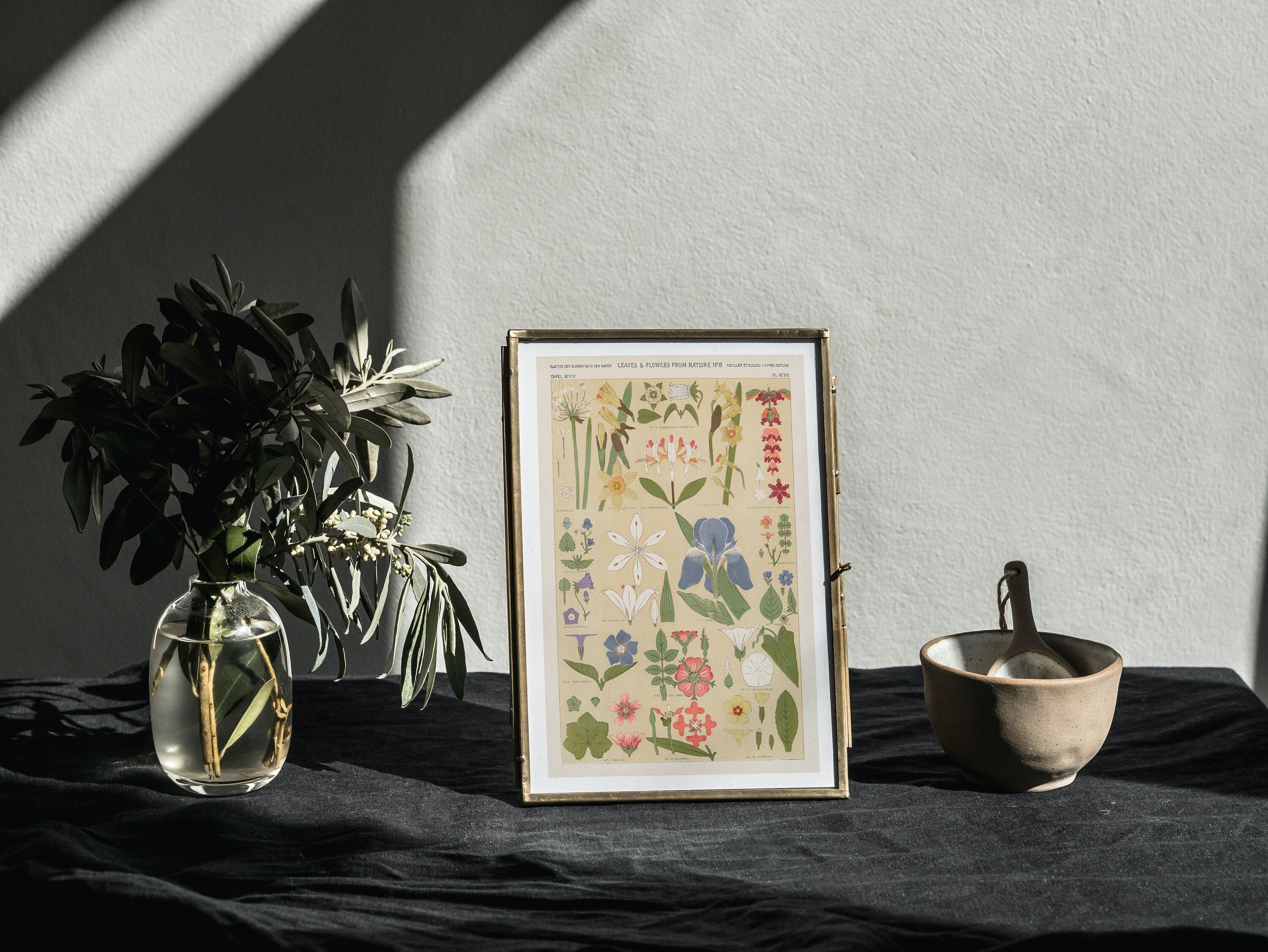 Vintage Botanical Print: Labelled Leaves & Flowers, Boho Wall Art - Etsy