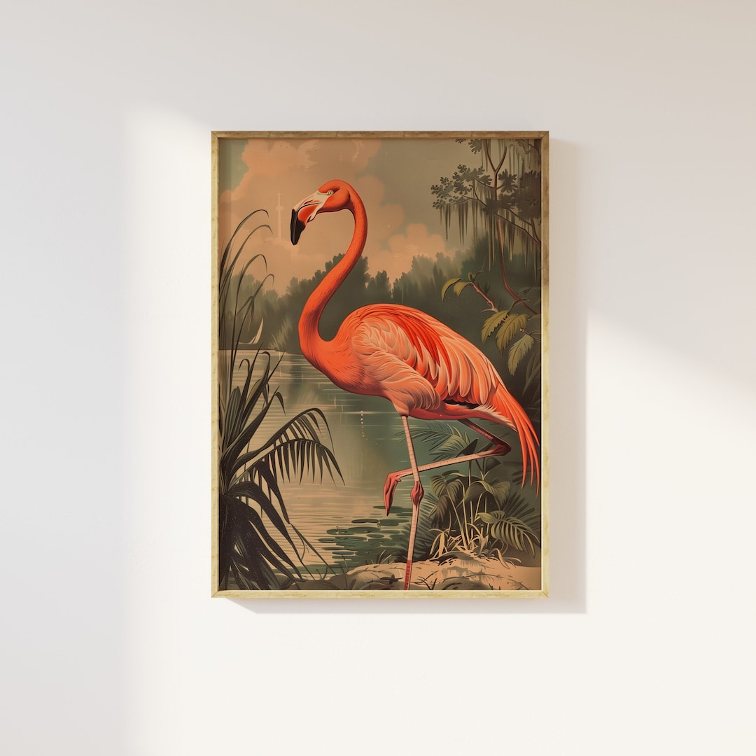 Flamingo Vintage Print, Vintage Illustration, Vintage Flamingo Art ...