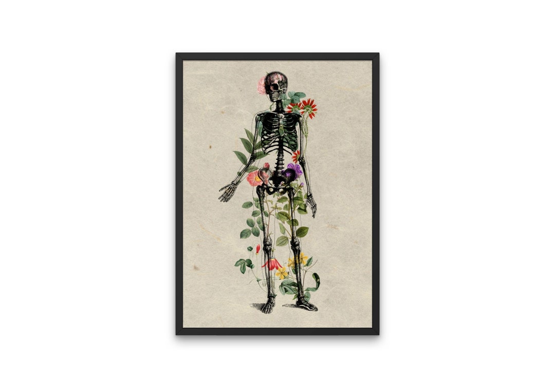 Antique Floral Human Anatomy Print - Flowers Through Skeleton, Floral ...