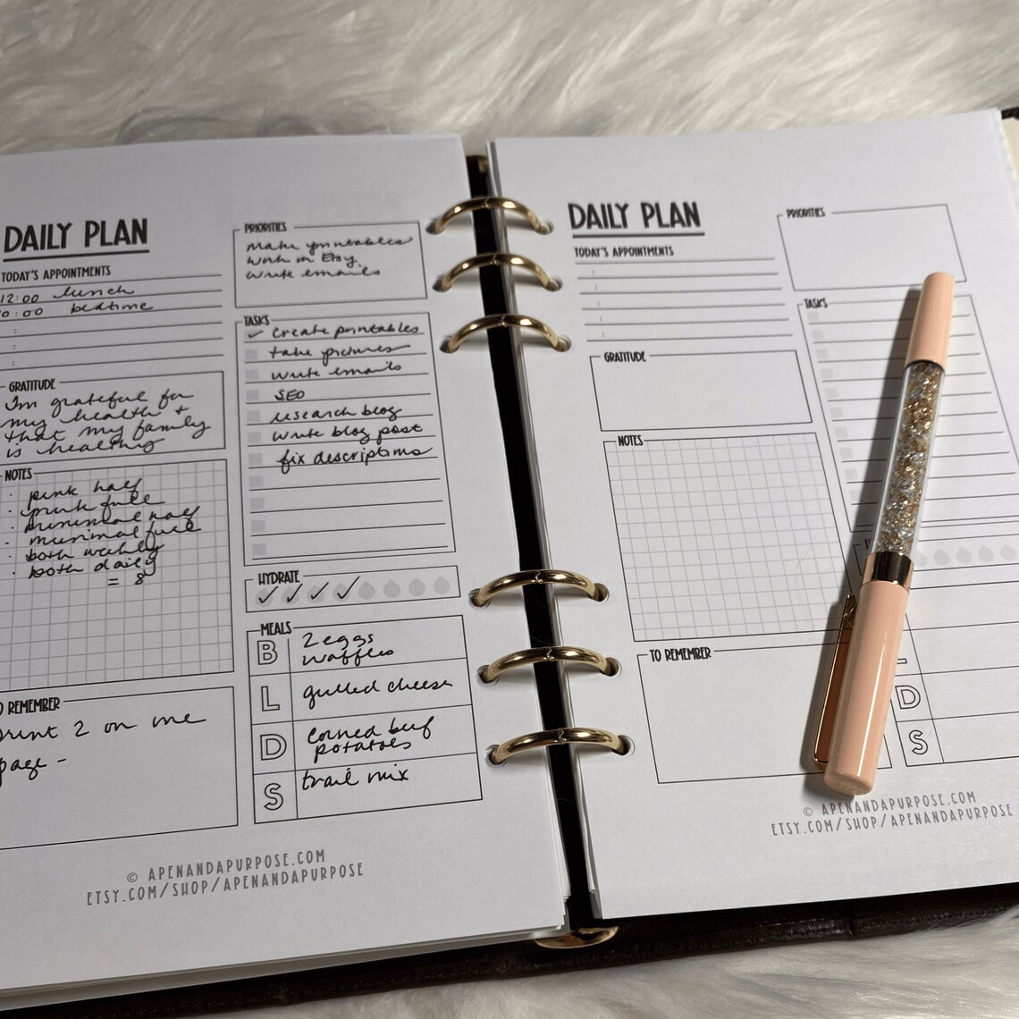 Printable Daily Planner PDF in Letter Size: the Daily Planner - Etsy