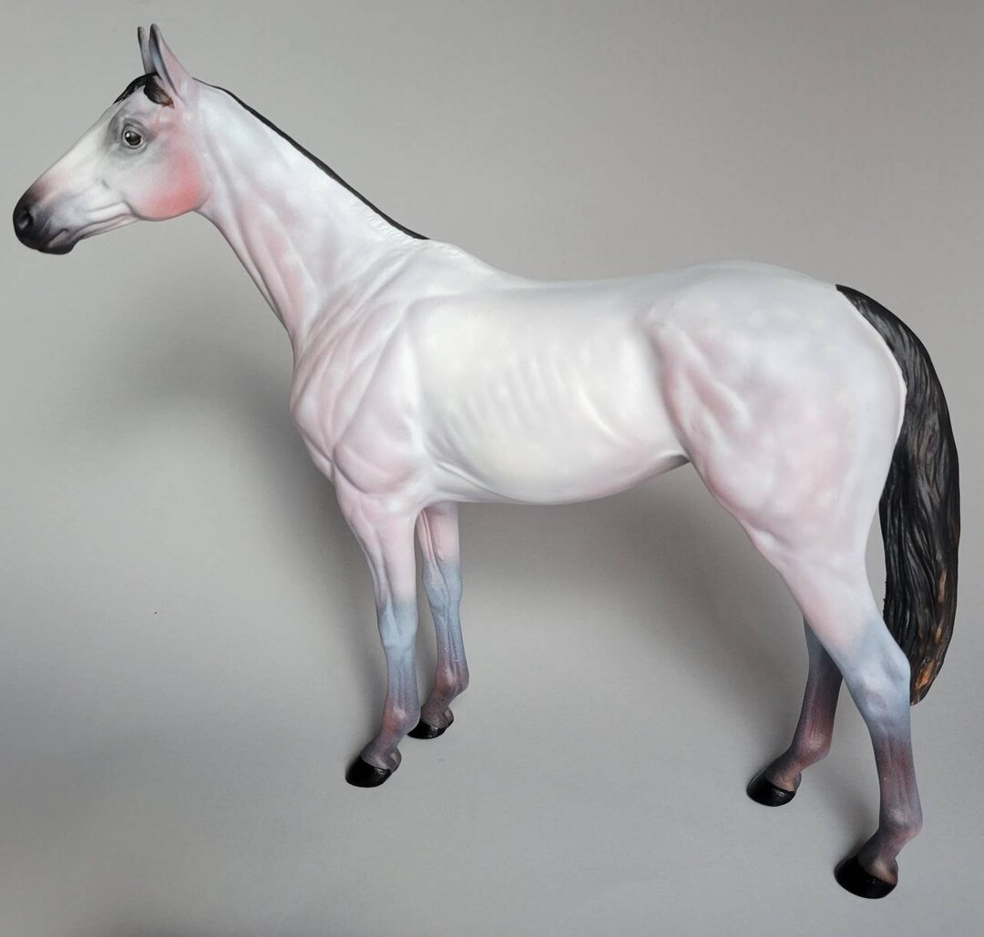 Custom Breyer Traditional Winx - Etsy