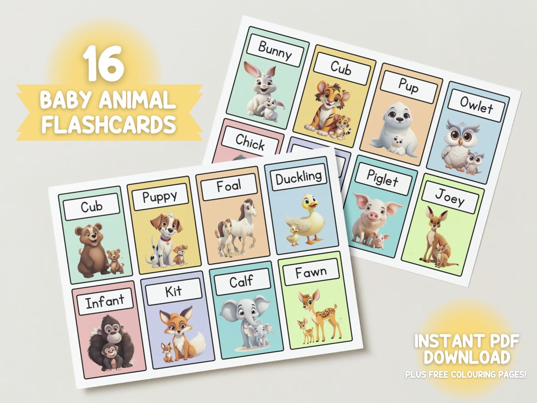 Baby Animal Flashcards | Educational Flash Cards | Children's Learning ...
