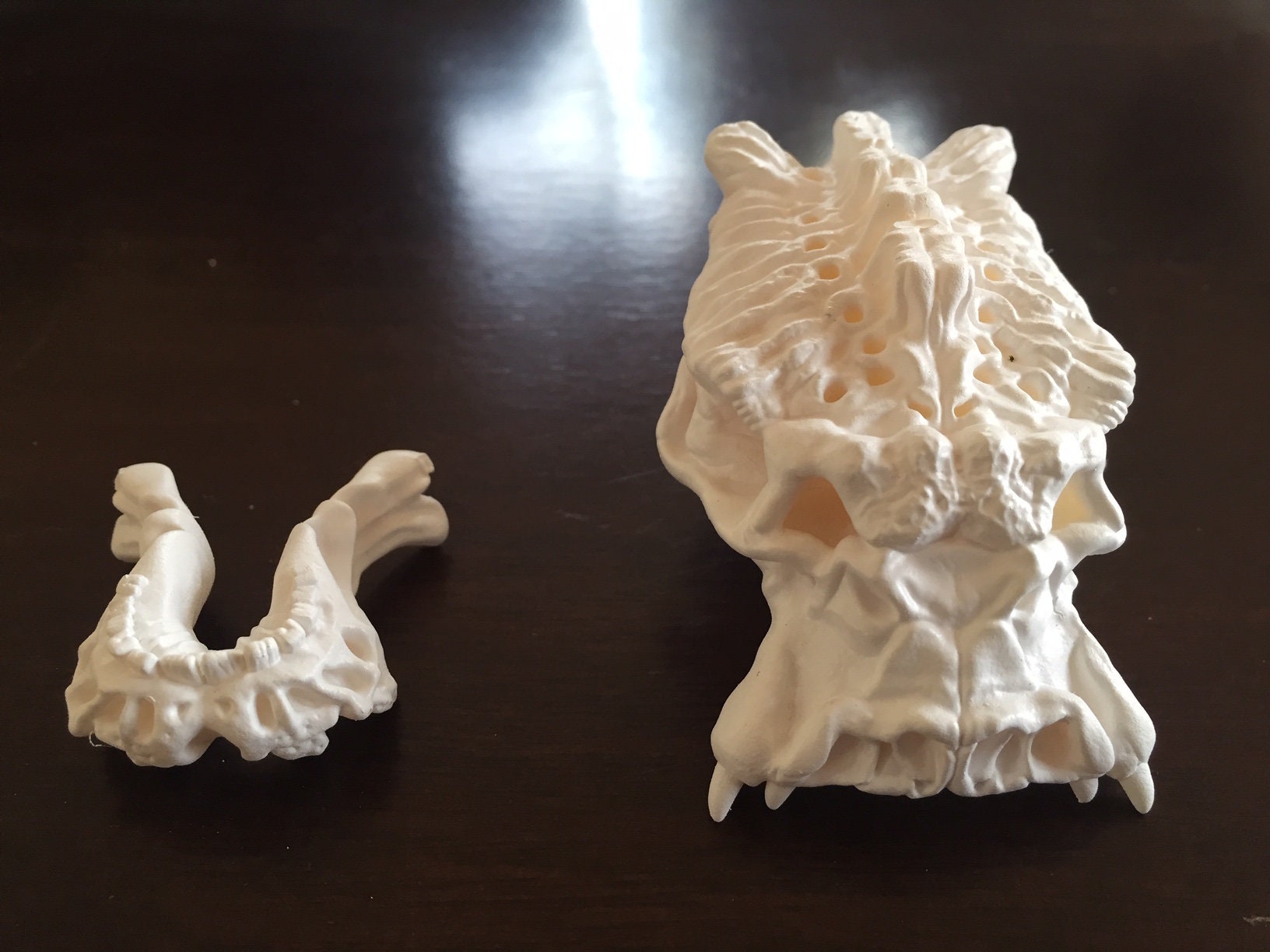 Predator 2 Trophy Room Inspired small Man Skull - Etsy New Zealand