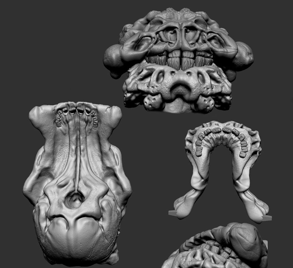 Predator 2 trophy room inspired Small man skull | Etsy