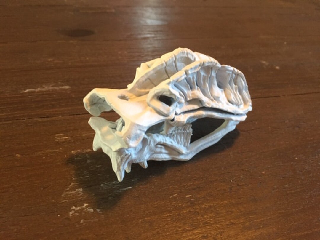 Inspired by a Skull in the Avp Trophy Room, I Call This One "rat Head ...