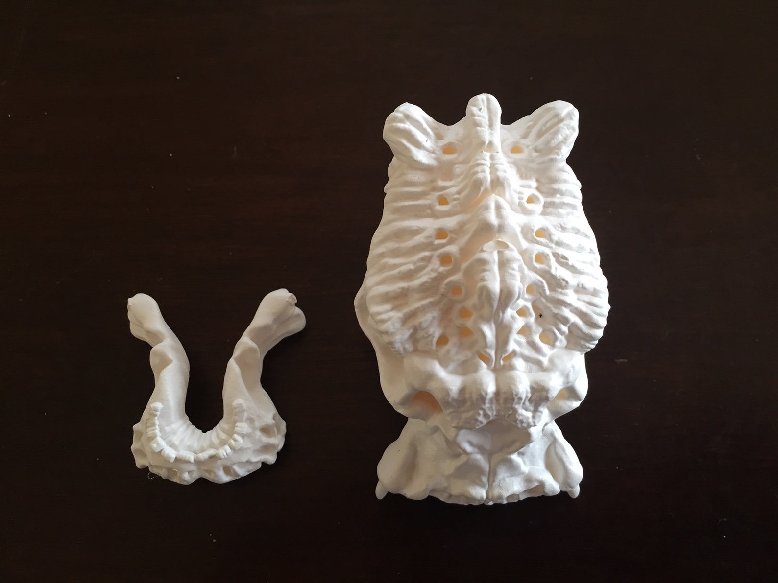 Predator 2 Trophy Room Inspired small Man Skull - Etsy New Zealand