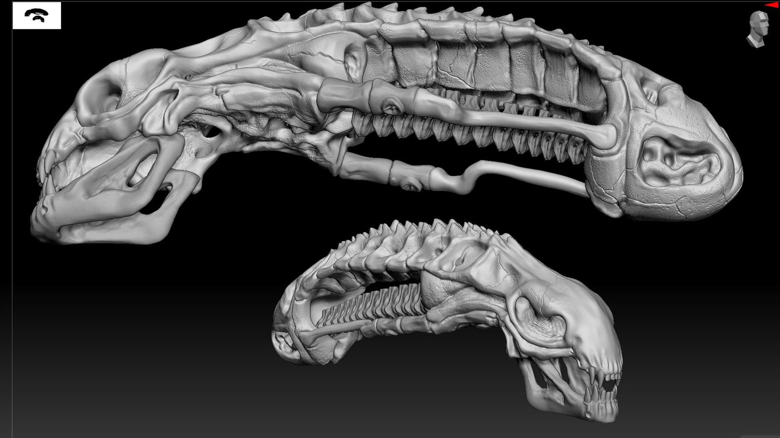 Predator 2 Trophy Room Inspired aliens Skull - Etsy UK