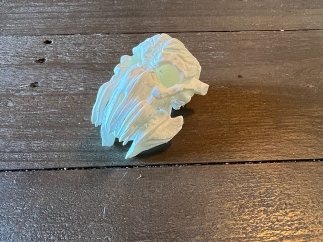 NEW Inspired by the Cursed Earth Trophy Room, I Call This One death ...