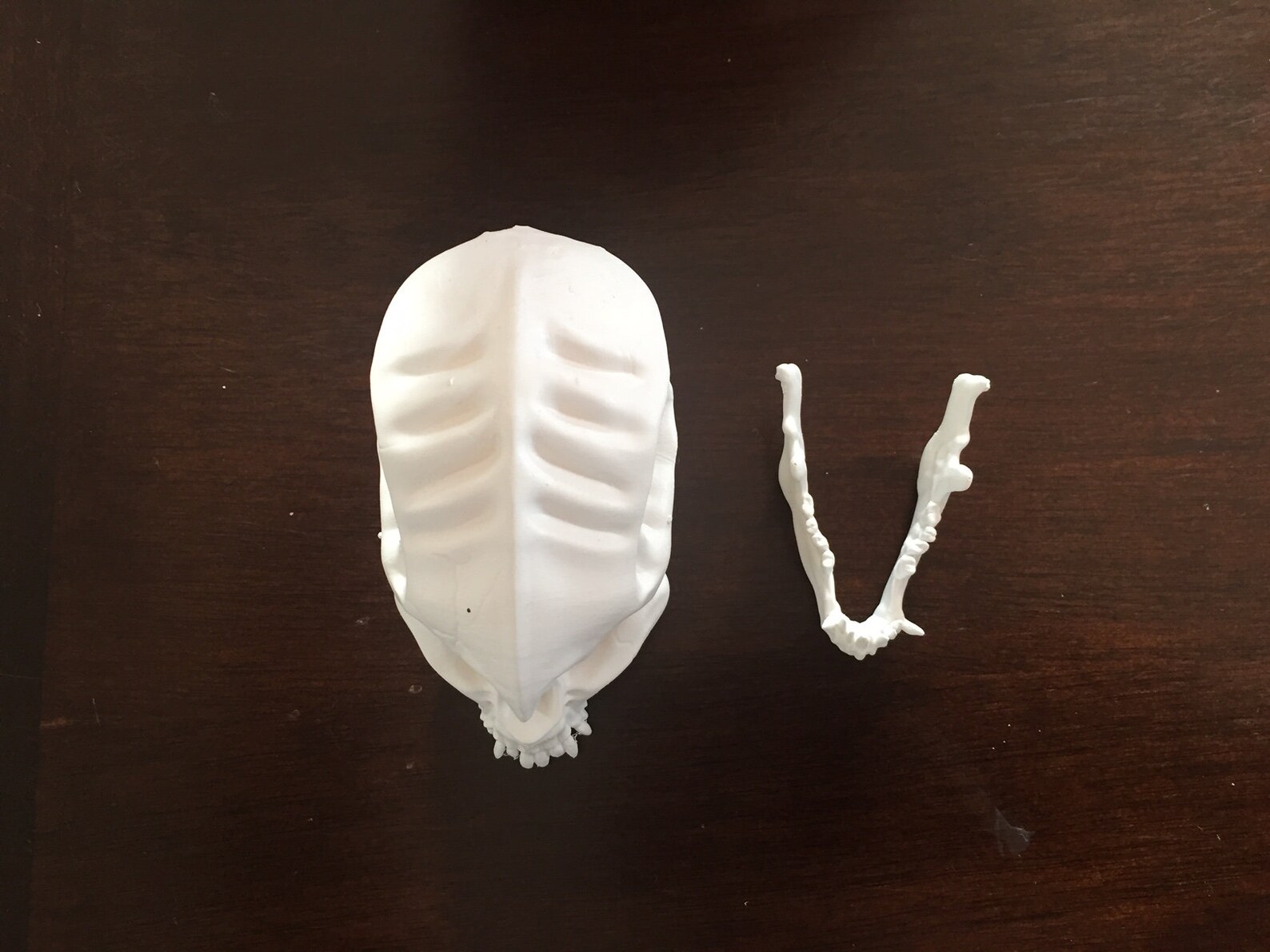 MK2 Predator Trophy Room Inspired flathead Skull - Etsy