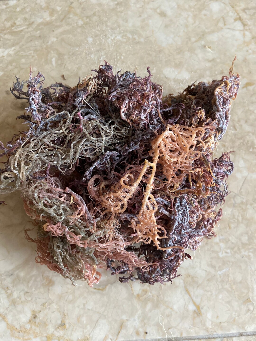 Full Spectrum - Wildcrafted Sea Moss -GRADE A - Etsy