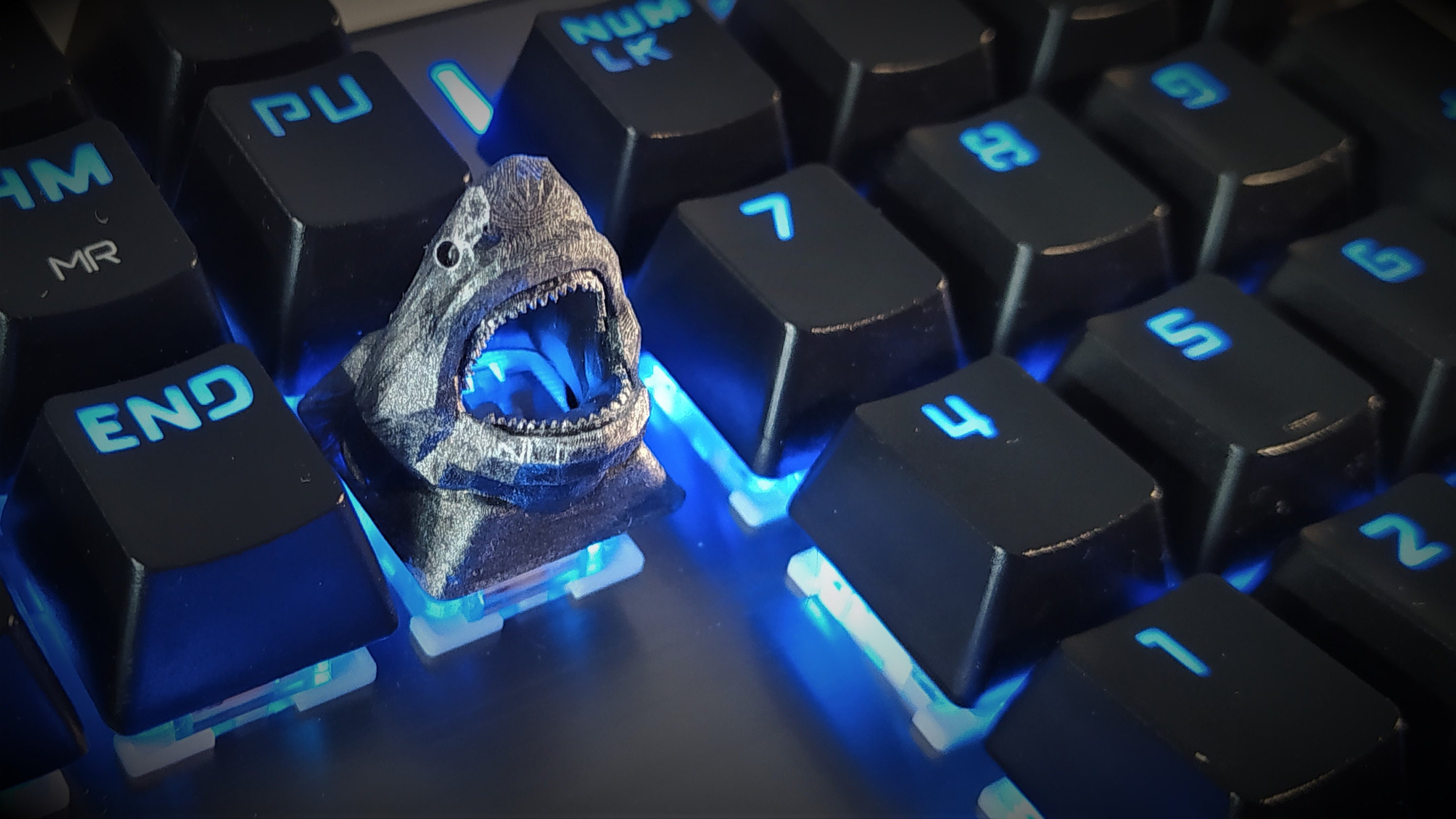 Shark Attack Artisan Custom Cherry MX Keycap - Etsy