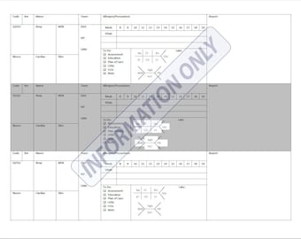 1 Patient Report Sheet IPASS Format Days - Etsy