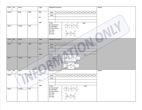 3 Patient Full System Report Sheet Nights - Etsy