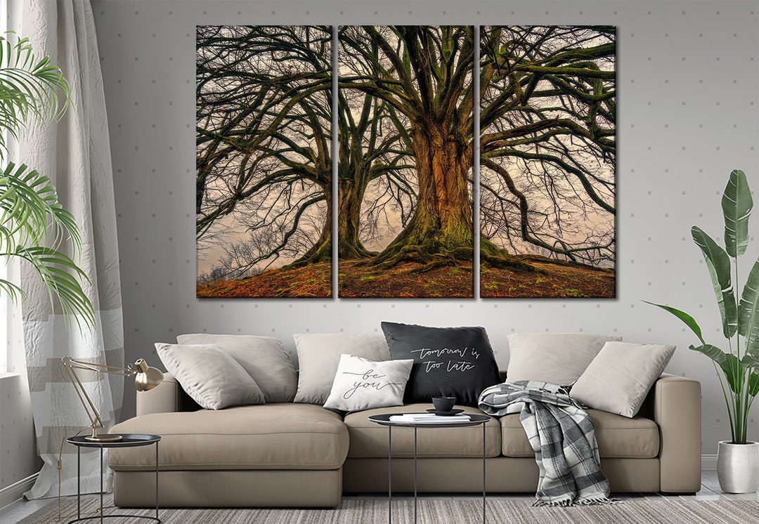 Old Tree Wall Art Old Trees Branches Canvas Wall Art Art Old Forest ...