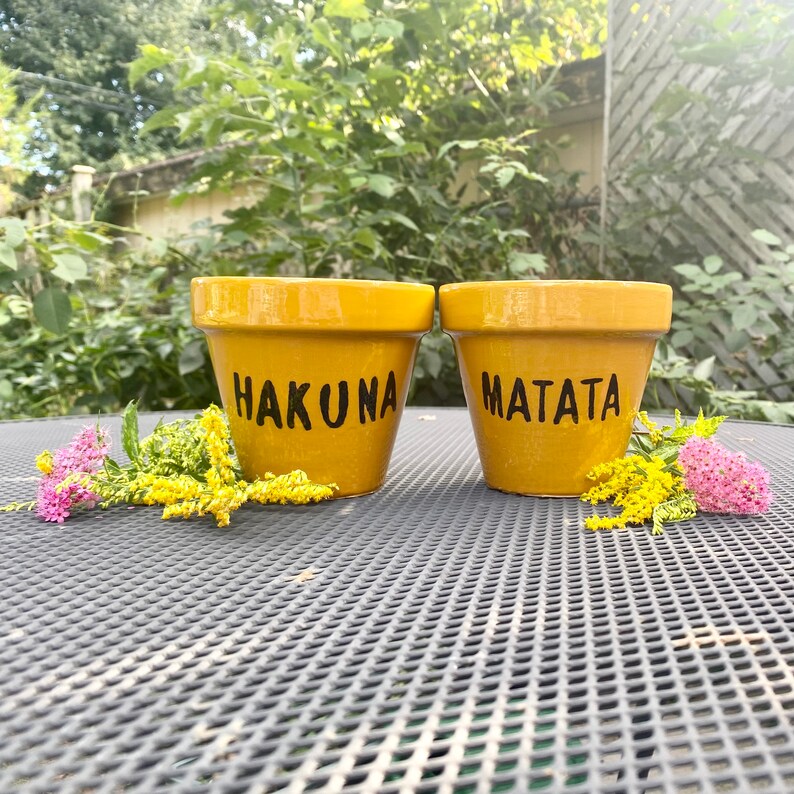 Lion King Timon and Pumbaa Hand Painted Clay Flower Pot - Etsy UK