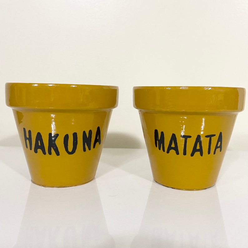 Lion King Timon and Pumbaa Hand Painted Clay Flower Pot - Etsy