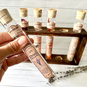 Halloween Apothecary Potion Rack, Set of 5 Test Tube Vials in Stand ...