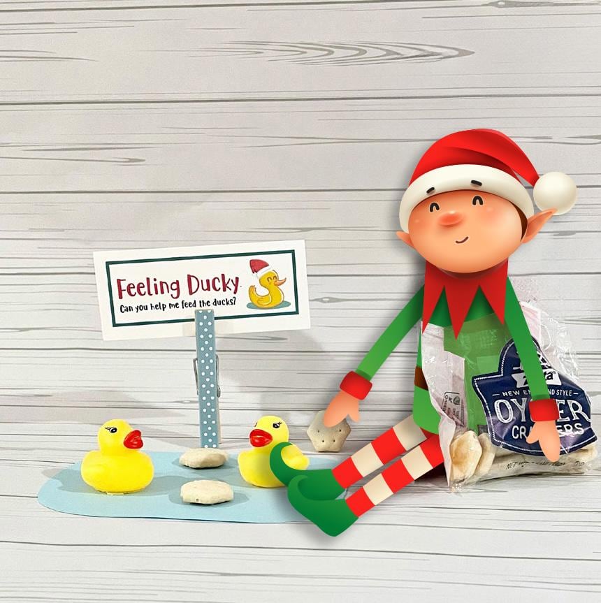 Elf Feed the Ducks Prop Set | Elf Activity Kit - Etsy