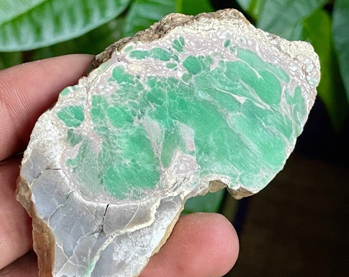 41g Lucin Variscite Slab, Rough Variscite Lapidary Slice, Raw Variscite ...