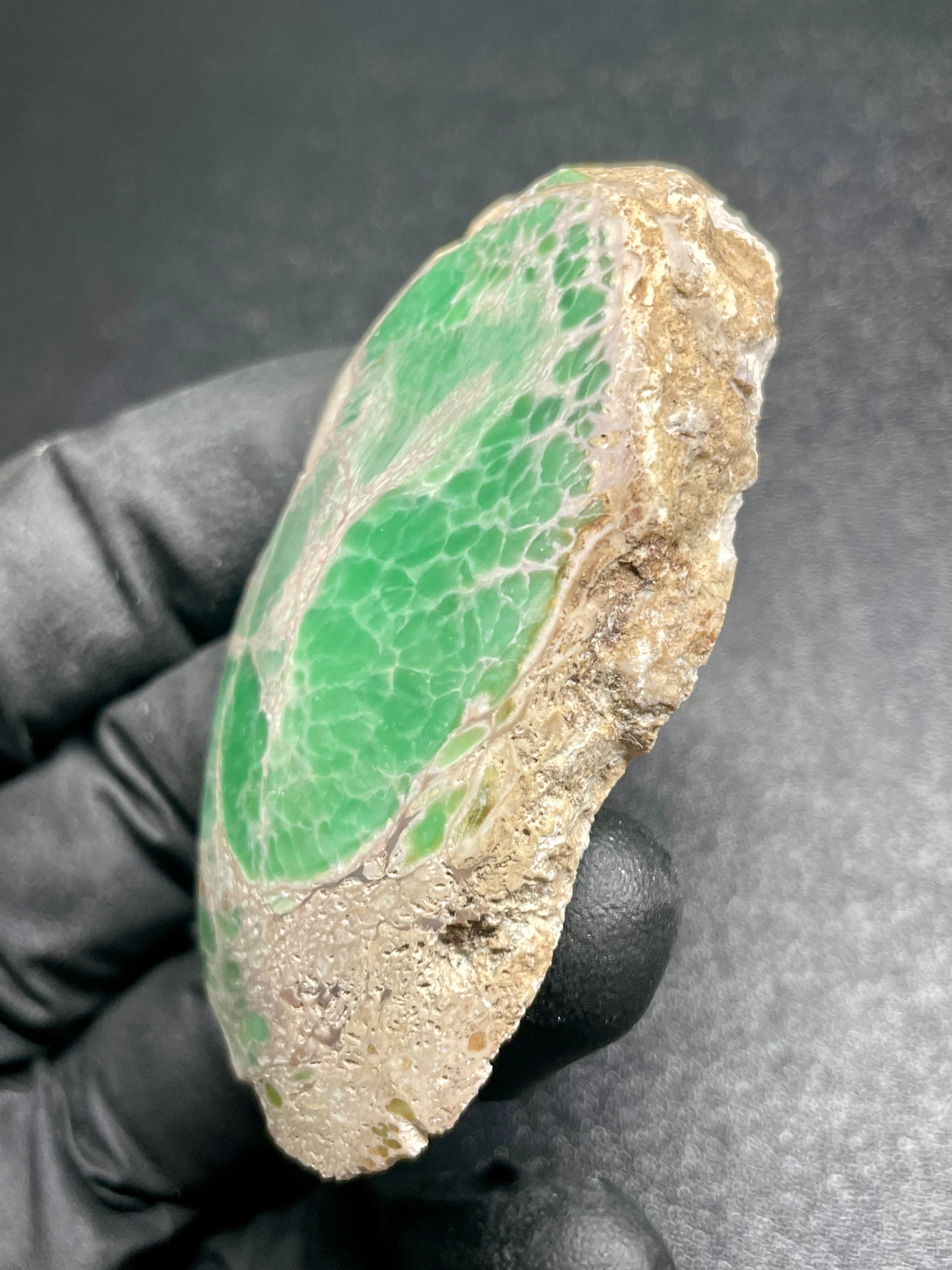 45g Lucin Variscite Slab, Semi-polished Utah Variscite Lapidary Slice ...