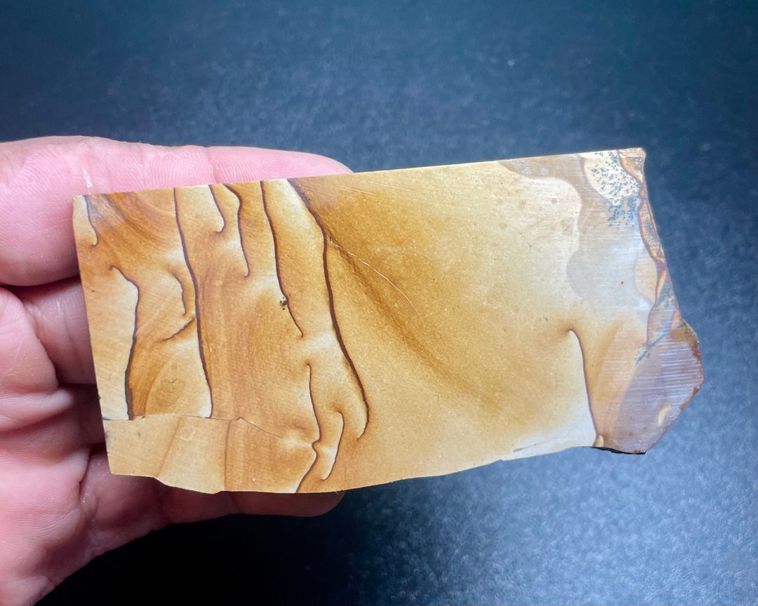 85g Deschutes Jasper Slab From Orgon, Picture Jasper Slab, Biggs Jasper ...