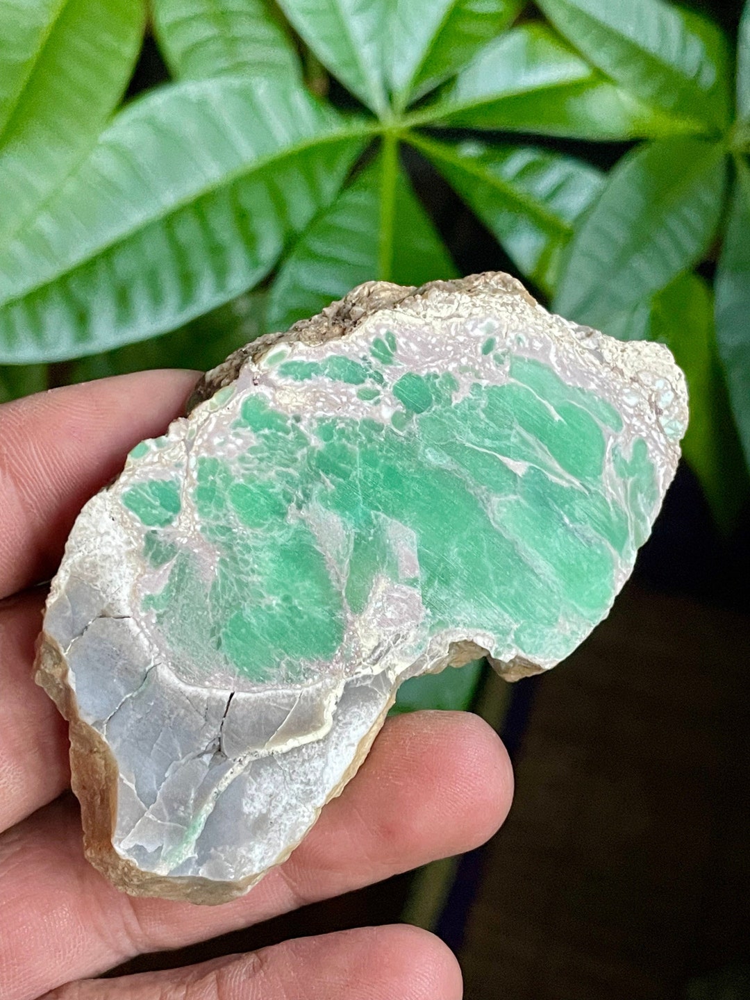 41g Lucin Variscite Slab Rough Variscite Lapidary Slice Raw - Etsy