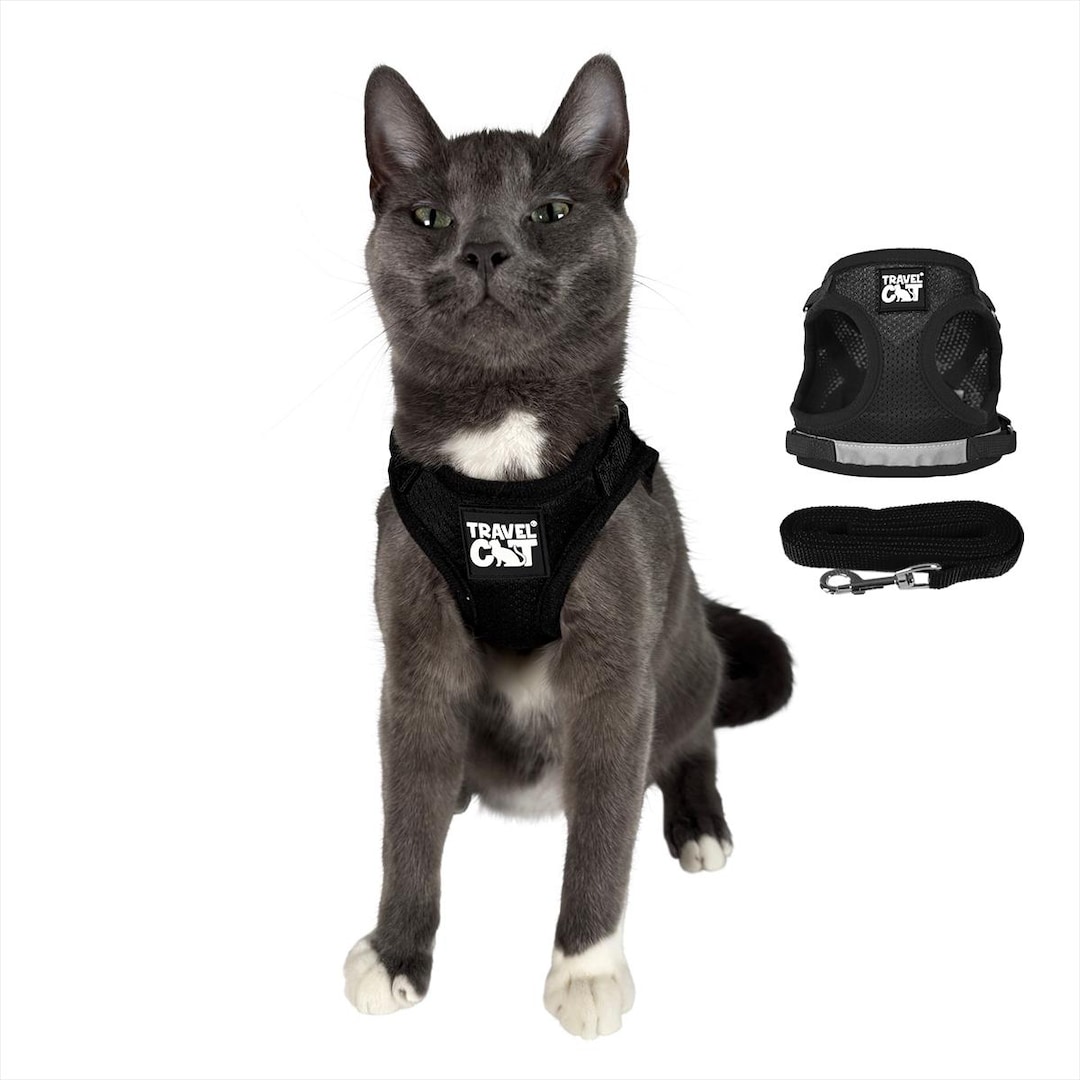 The True Adventurer" Reflective Cat & Kitten Harness and Leash Set for ...