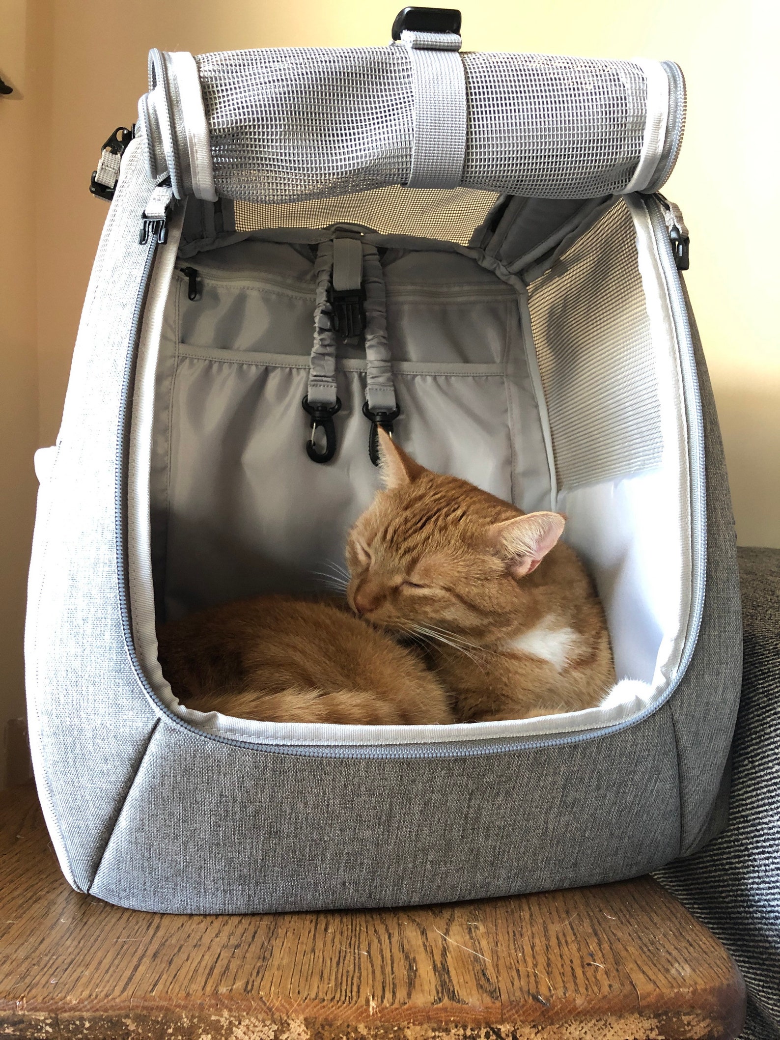 The Navigator Convertible Cat Backpack - Pet Bag Outing, Breathable Pet ...