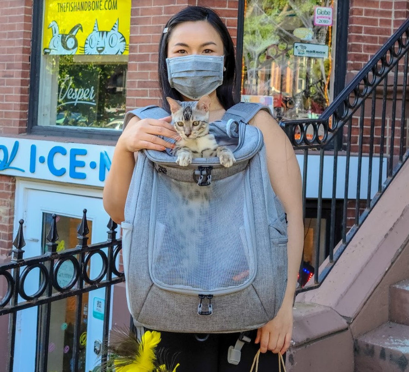 The Navigator Convertible Cat Backpack - Pet Bag Outing, Breathable Pet ...