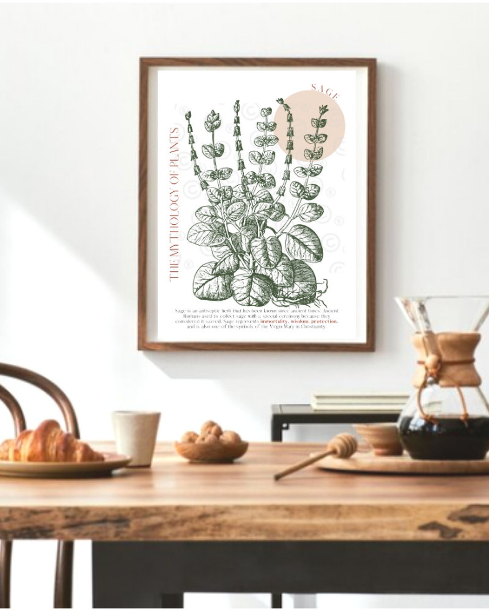 Sage Art Print, Botanical Mythology Poster, Kitchen Decor - Etsy