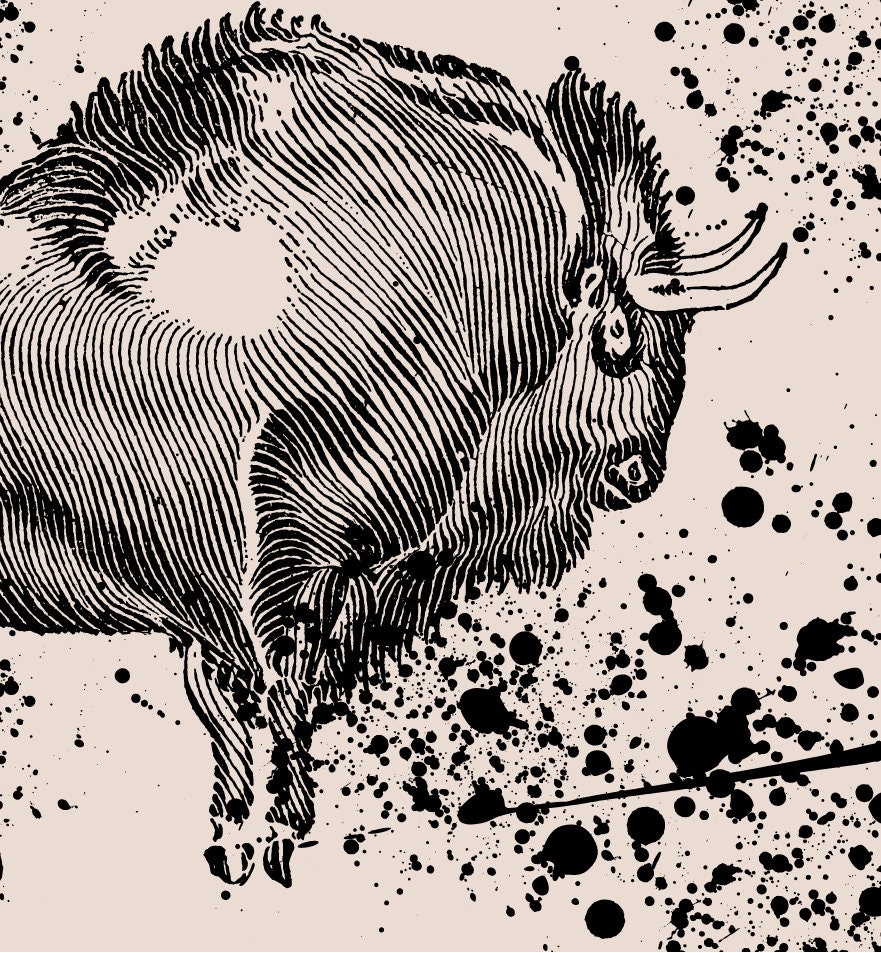 Altamira Prehistoric Cave Painting, Primitive Bull Buffalo Bison Print ...