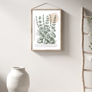 Sage Art Print, Plant Gifts, Sage Green Decor, Herbal Poster, Botanical ...
