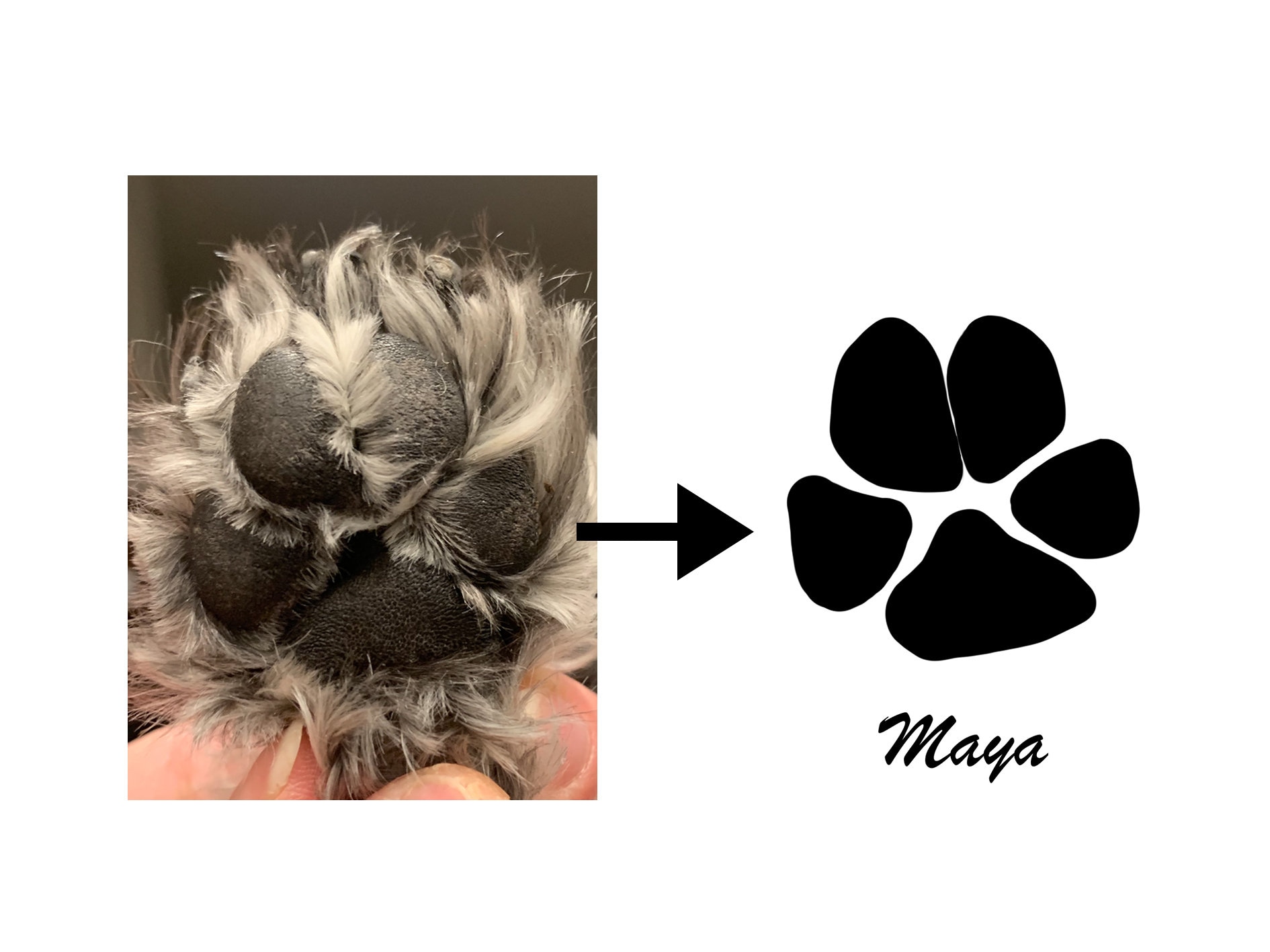 Digital Custom Paw Print - Etsy