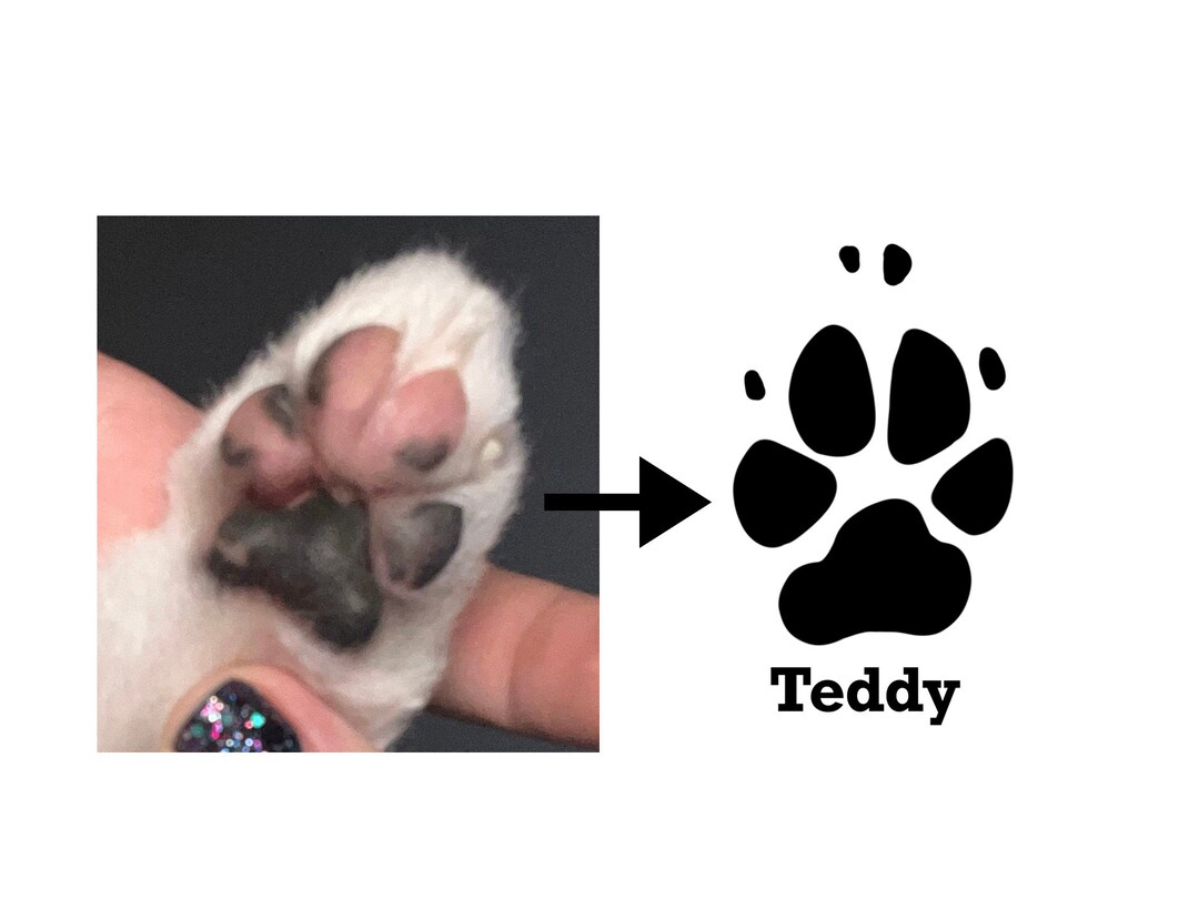 Digital Custom Paw Print - Etsy
