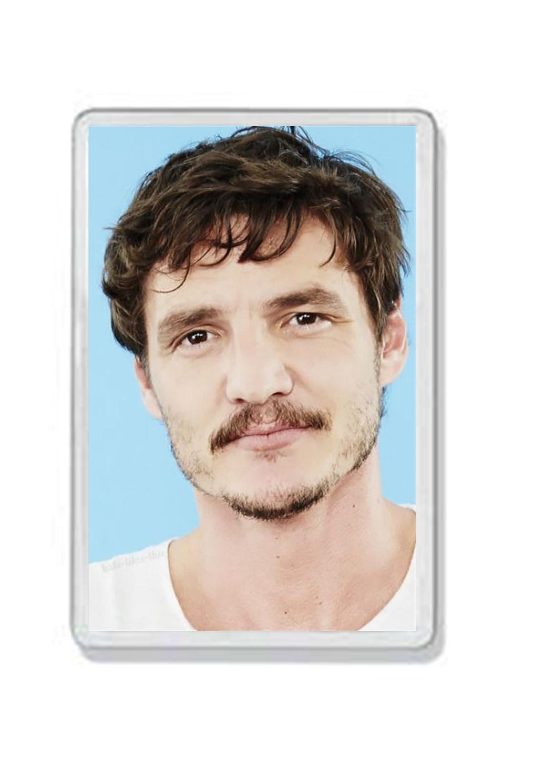 Pedro Pascal Photo Acrylic Fridge Magnet (70 X 45mm) - Etsy
