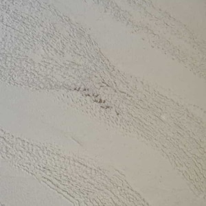 Natural Stone Effect TRAVERTINO Decorative Plaster Interior & Exterior ...