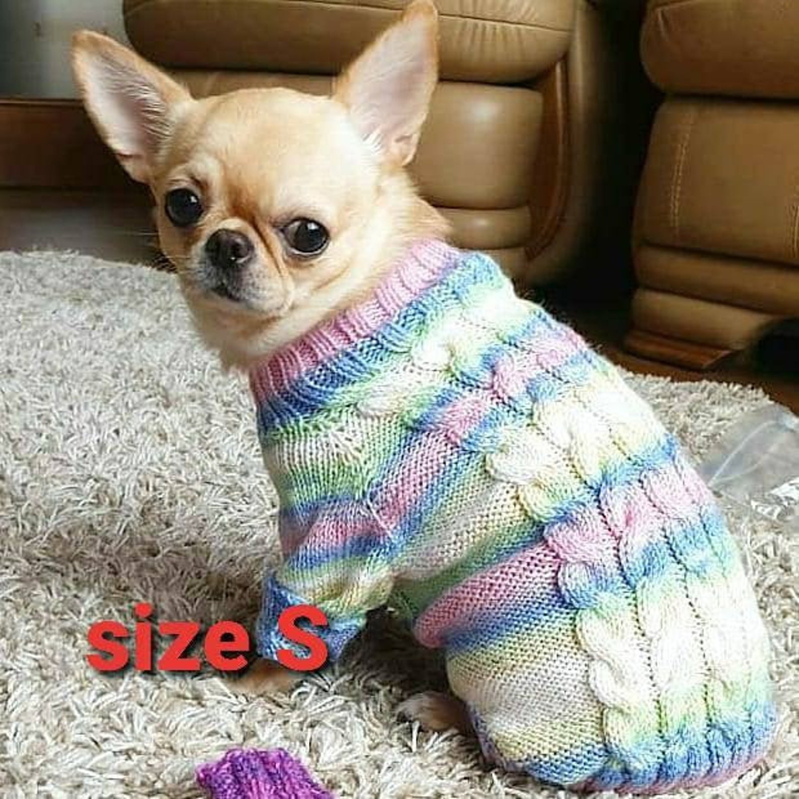 Suéter Chihuahua Suéter de perro para perros con rayas arco | Etsy