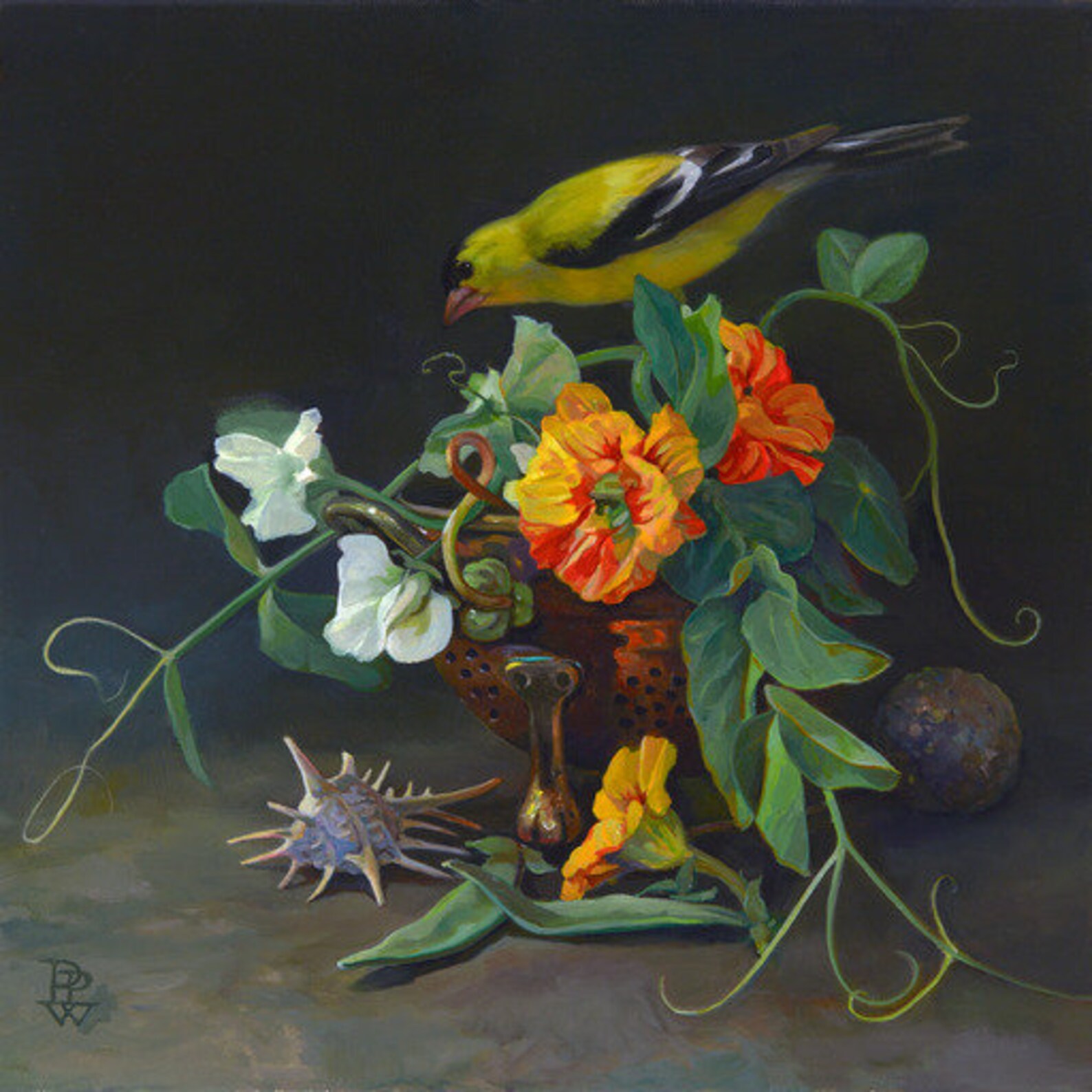 Nasturtium and Goldfinch by Pamela Patrick White - Etsy