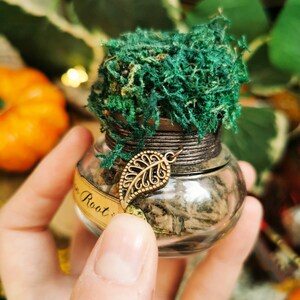 Valerian Root genuine Wizarding Potions Vials - Etsy