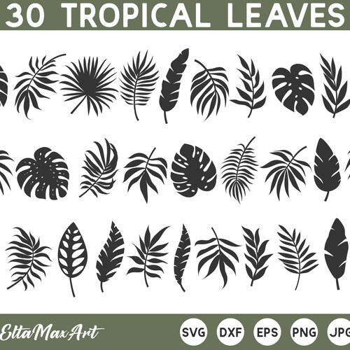 Monstera Leaves Cuttable Design PNG DXF SVG & Eps File for | Etsy