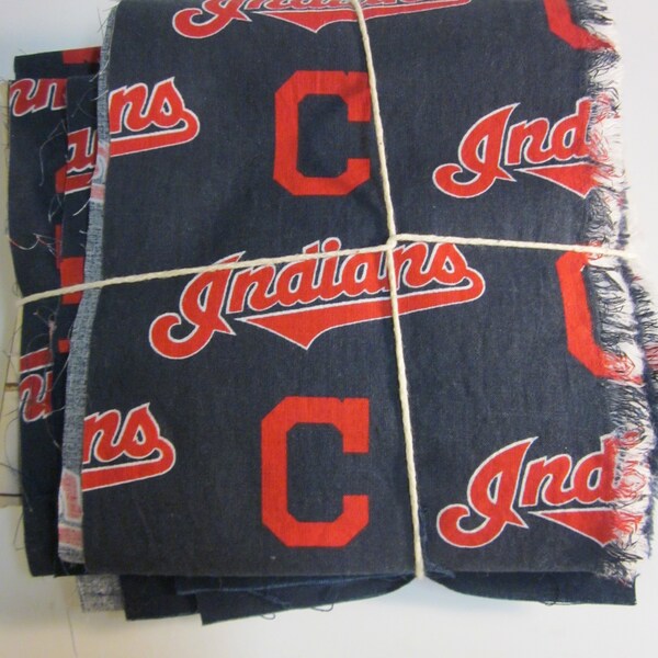 Indians Fabric - Etsy