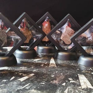 Dinosaur Bone in Display Case - Etsy UK